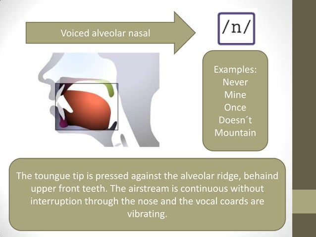 English phonetics | PPT