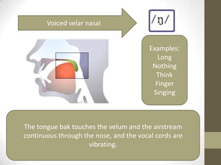 English phonetics | PPT