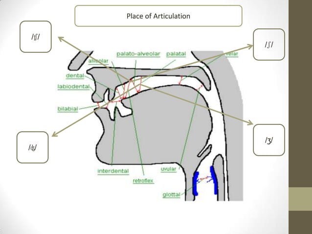 English phonetics | PPT