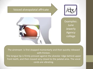 English phonetics | PPT