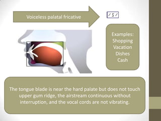 English phonetics | PPT