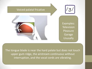 English phonetics | PPT