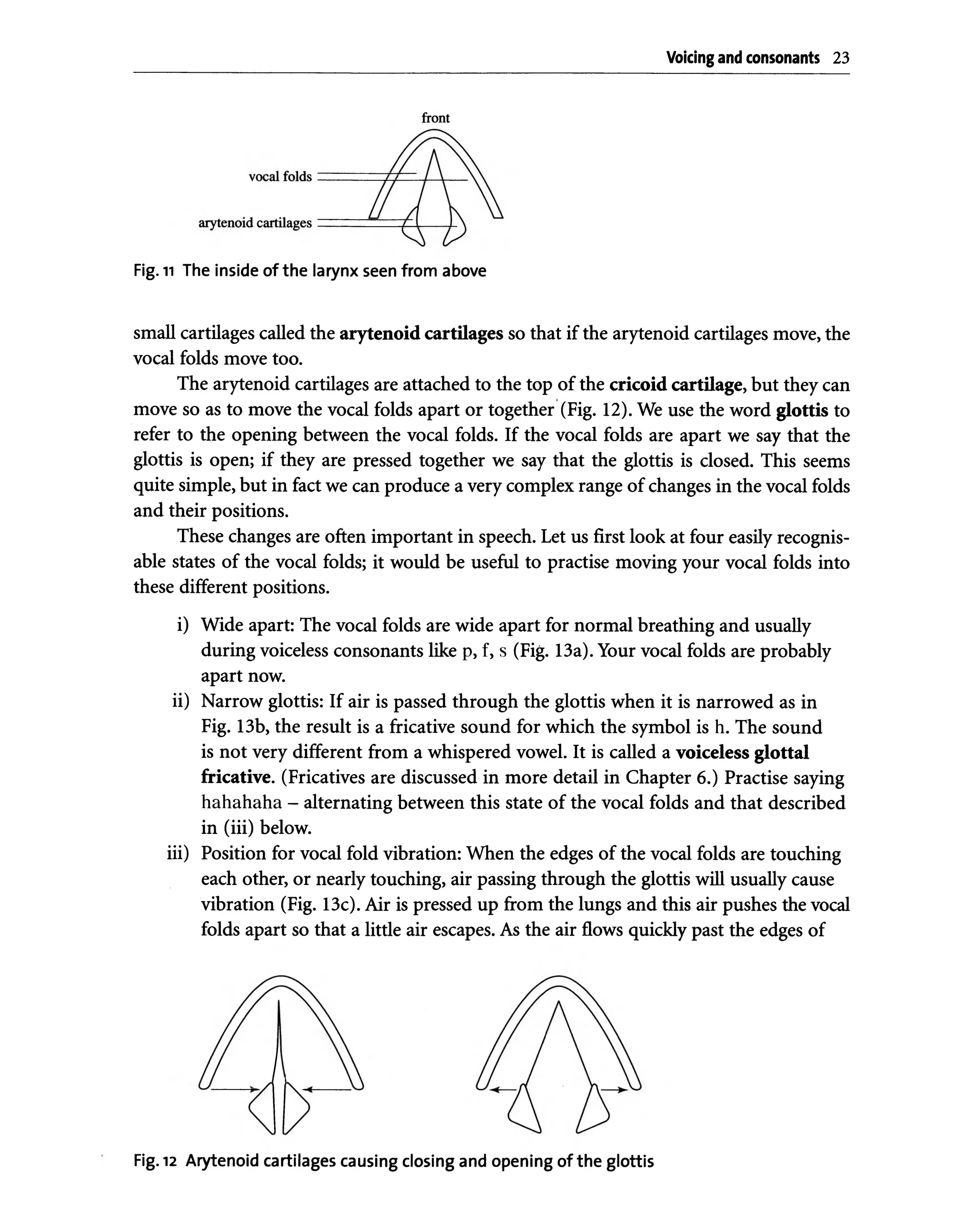 English Phonetics and Phonology_Peter Roach.pdf