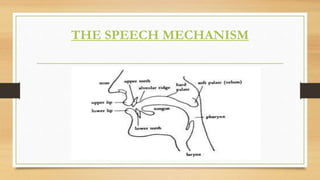 English phonology course (3) | PPT