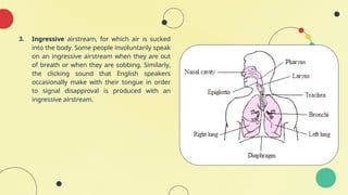 bahan membuat ppt English Phonology Group 2.pptx