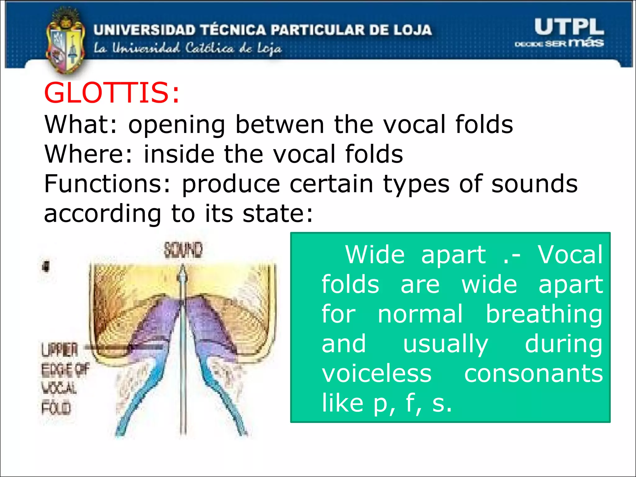 English Phonology, I Bim | PPT