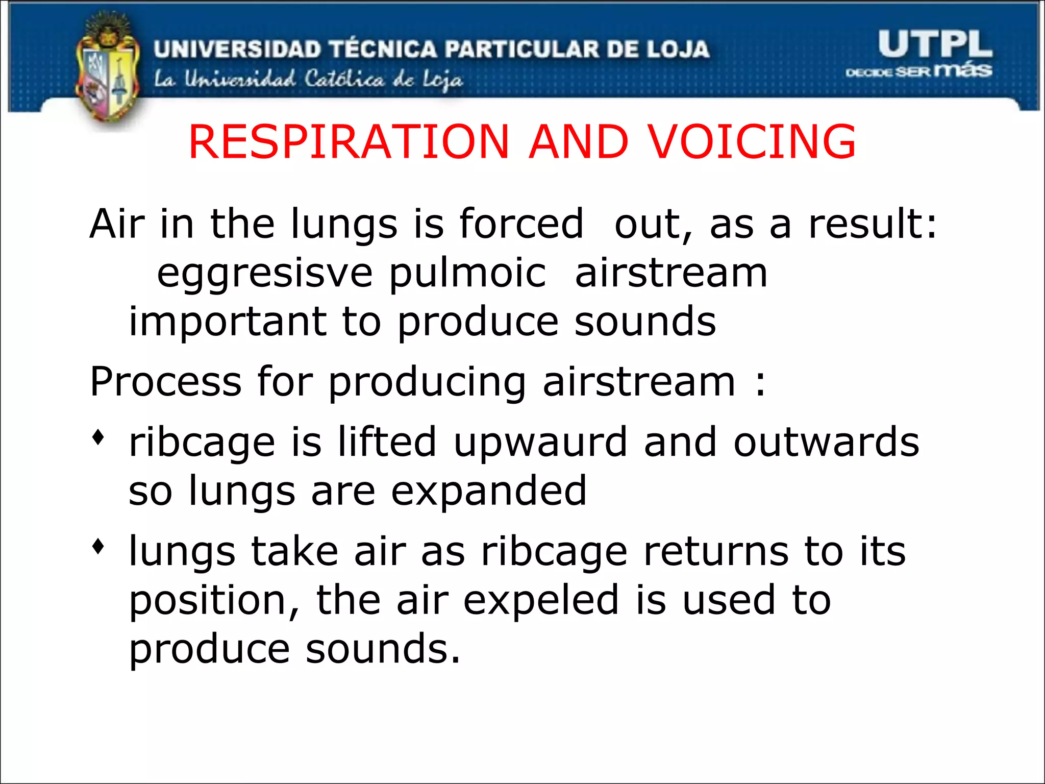 English Phonology, I Bim | PPT