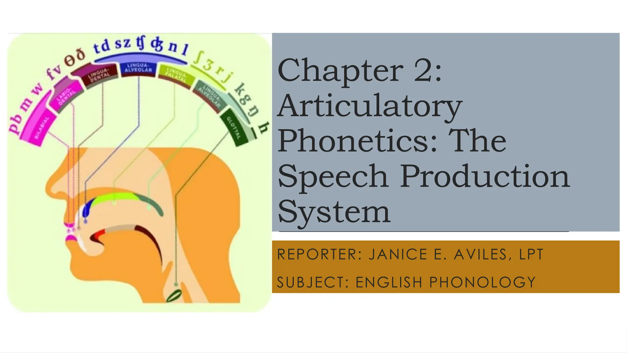 ENGLISH PHONOLOGY REPORT-ARTICULATORY PHONETICS AND CONSONANTS.pptx