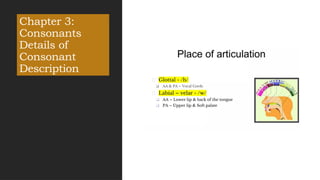 ENGLISH PHONOLOGY REPORT-ARTICULATORY PHONETICS AND CONSONANTS.pptx