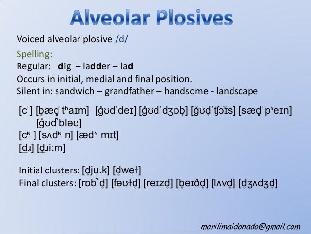 English plosives