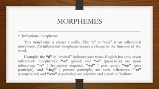 English Plus Lesson 1.pptx