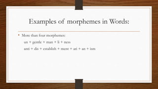 English Plus Lesson 1.pptx