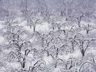 English poem digital media | PPTX