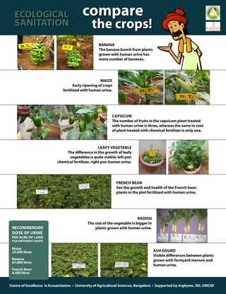 Ecosan Posters | PDF