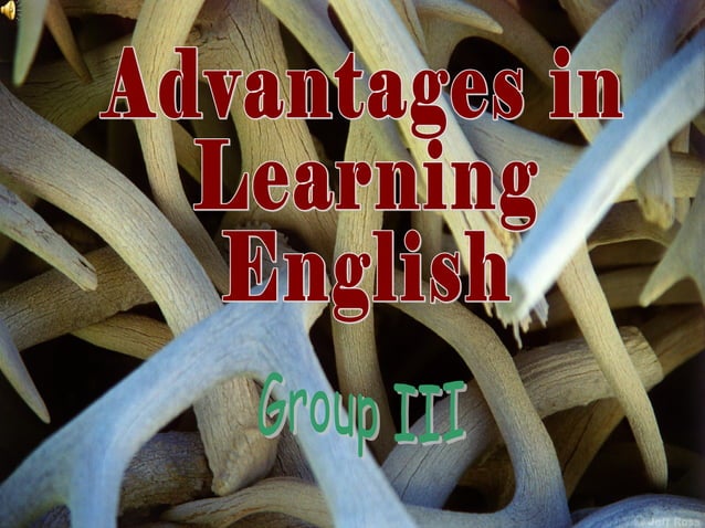 English powerpoint presentation | PPT