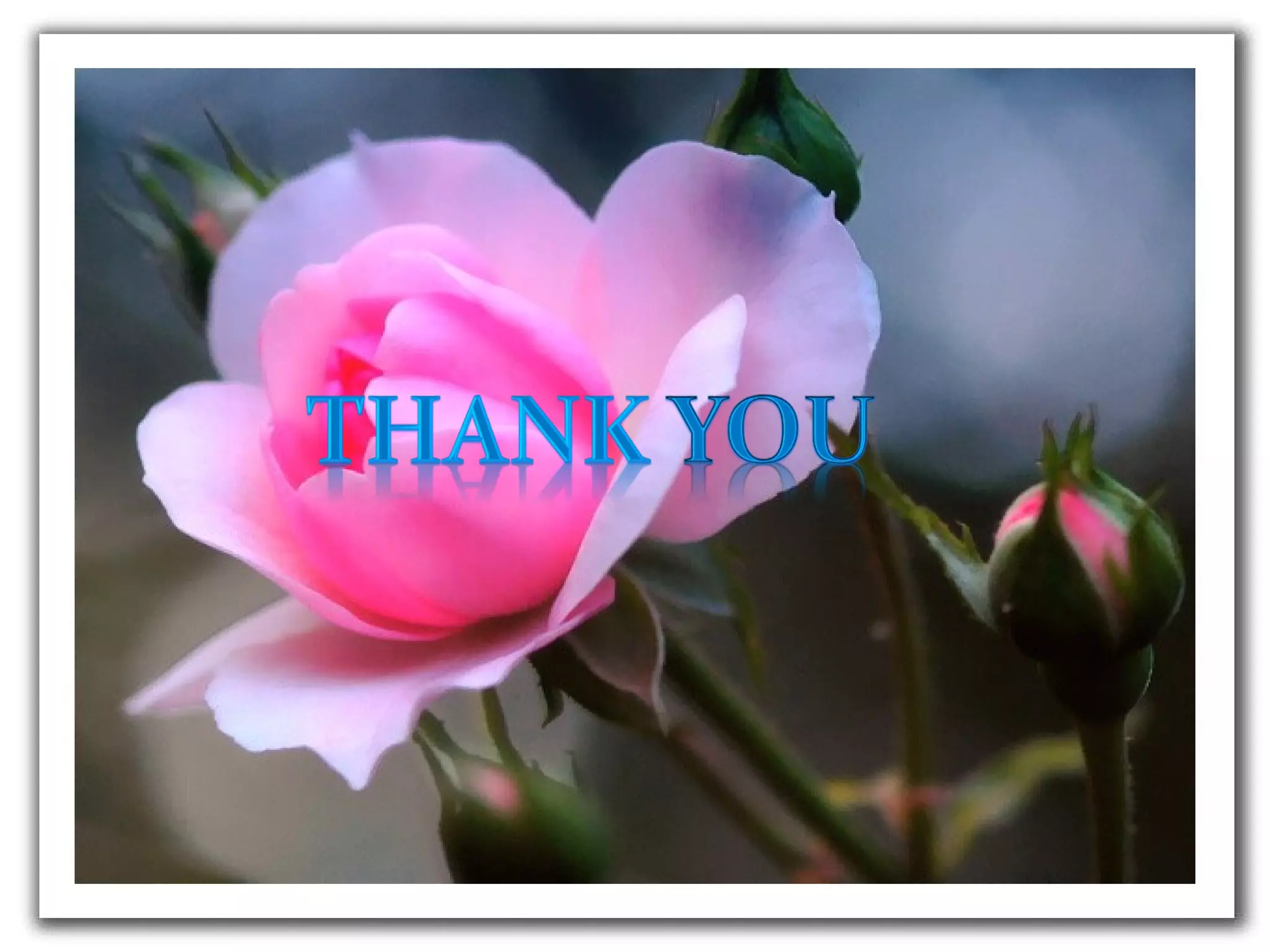 English ppt | PPT | Educational Assessment | Education