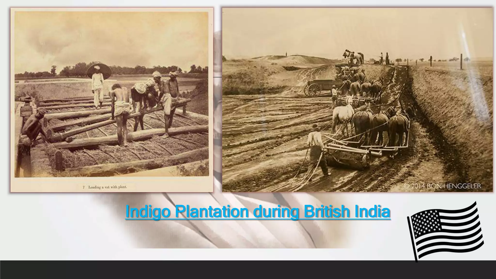 Indigo Movement | PPTX