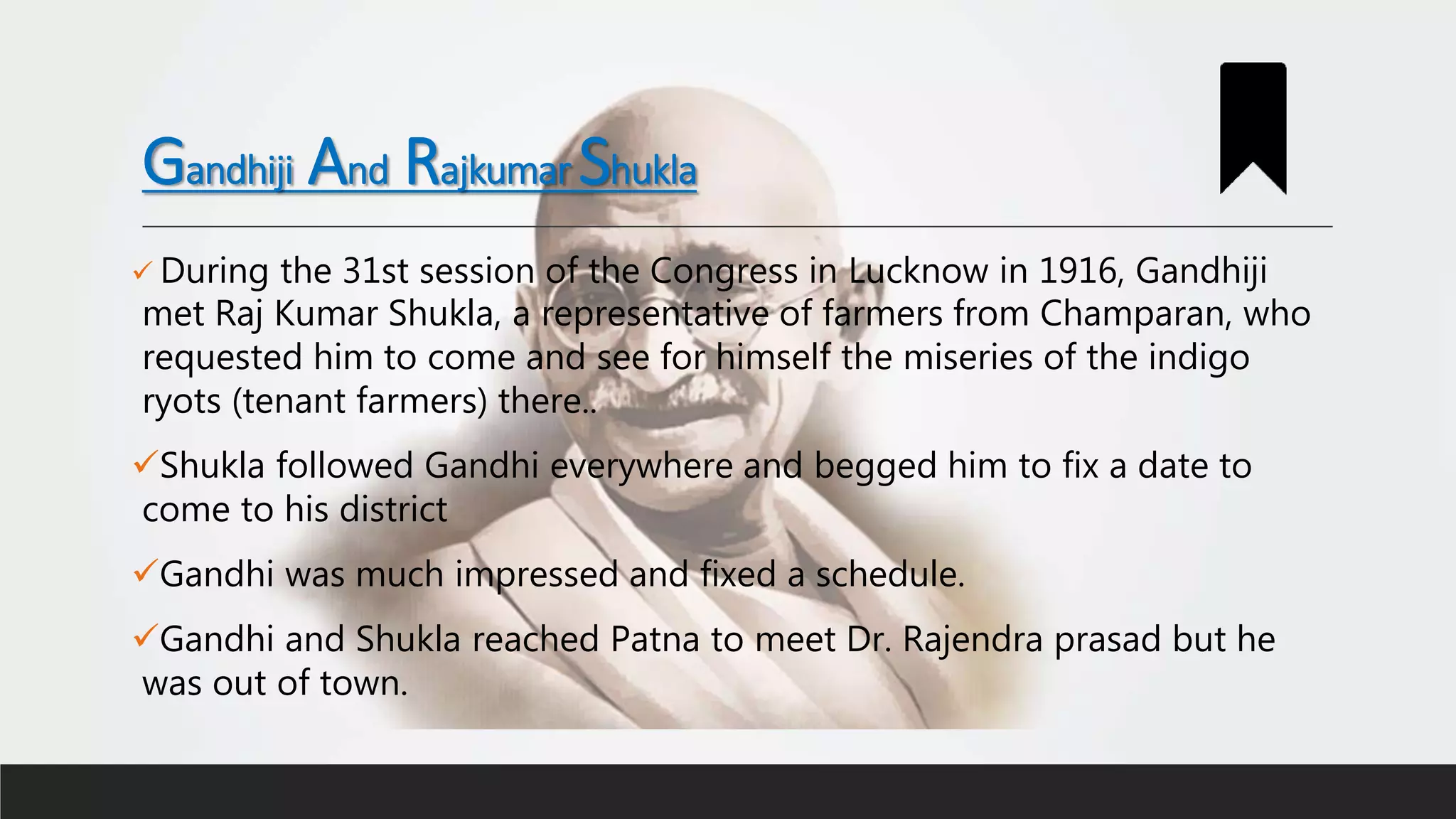 Indigo Movement | PPTX