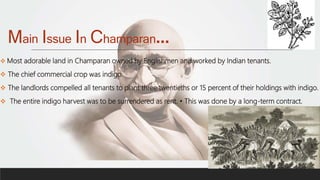 Indigo Movement | PPTX