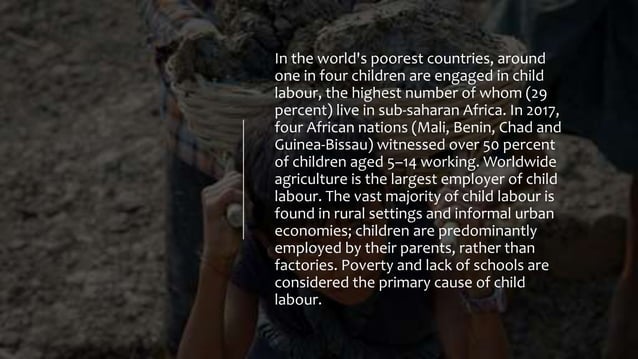 The Lost Spring English Class 12 | PPTX