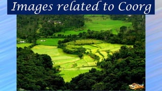English PPT on Coorg.pdf