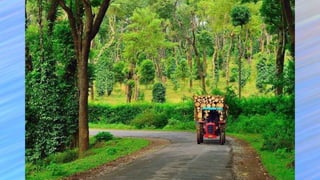 English PPT on Coorg.pdf