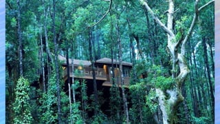 English PPT on Coorg.pdf