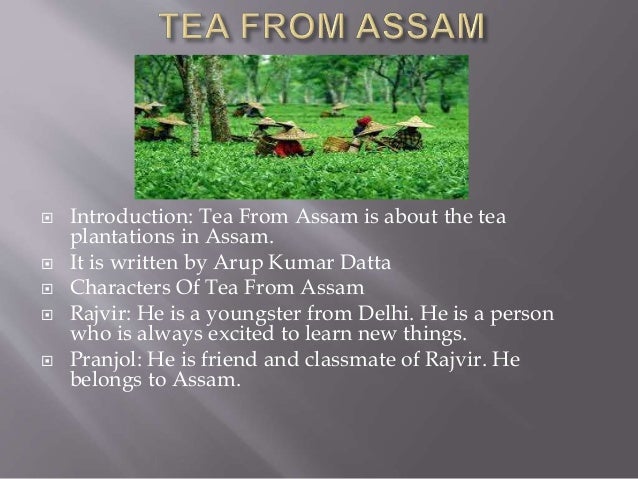 English PPT On Glimpses Of India.pptx