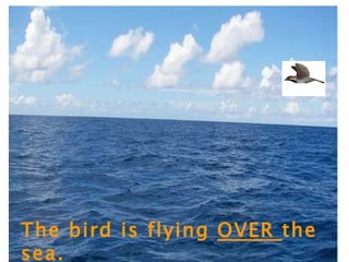 English Prepositions | PPT