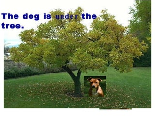 English Prepositions | PPT