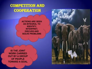 Competition Presentacion | PPTX | Education