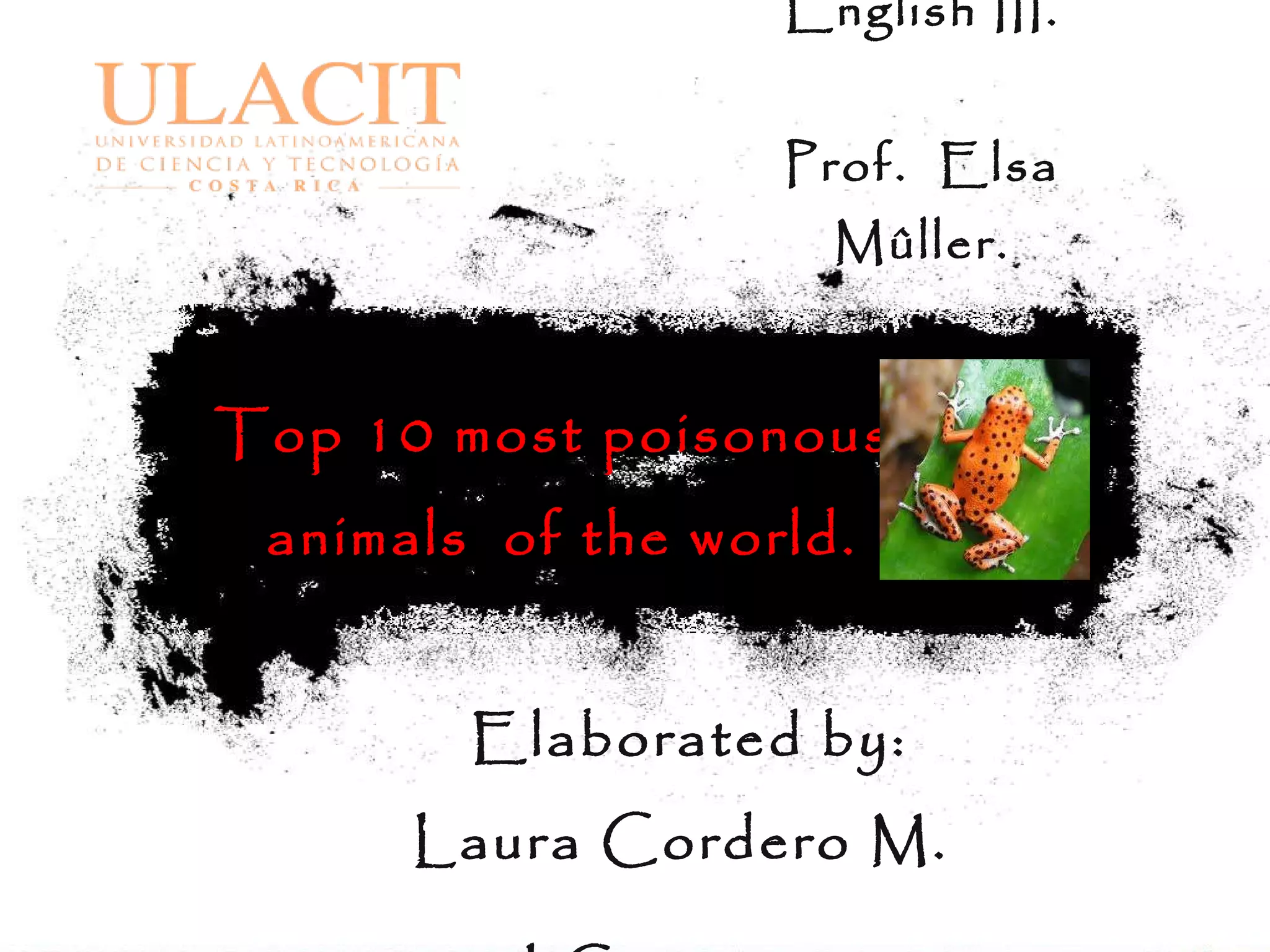 Top 10 Poisonous Animals | PPT