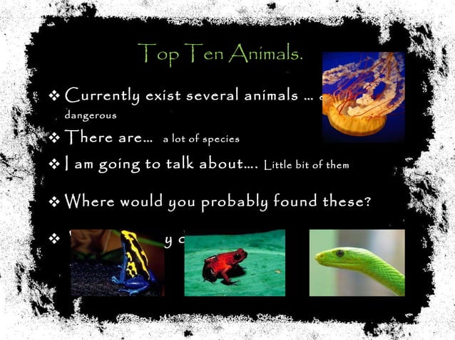 Top 10 Poisonous Animals | PPT | Reptiles | Pets