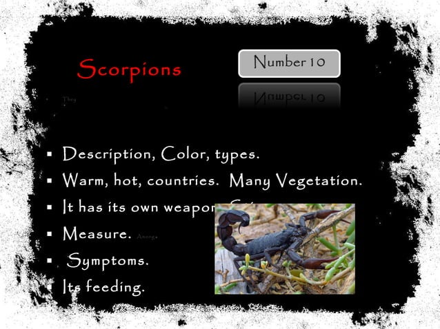 Top 10 Poisonous Animals | PPT | Reptiles | Pets