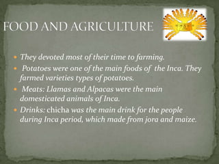 Incas Food And Farming
