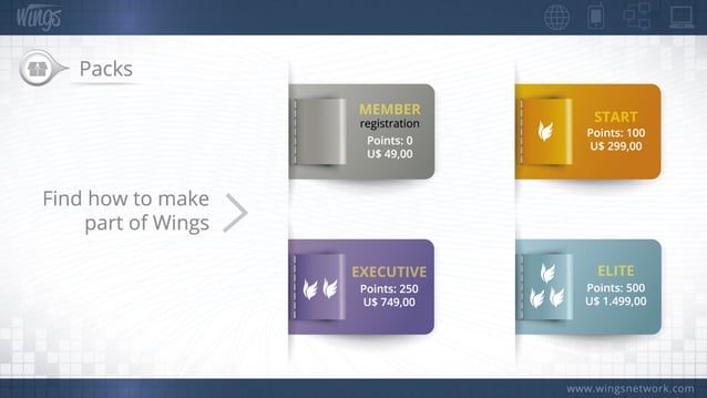 WINGS NETWORK English presentation | PPT