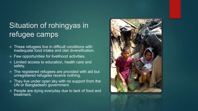 Rohingya | PPT | Free Download