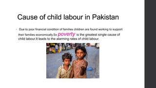 english presentation.ppt