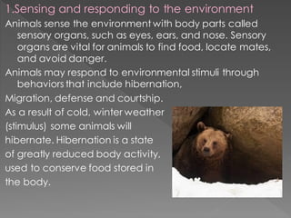 english presentation.pdf