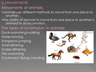 english presentation.pdf