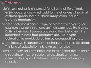 english presentation.pdf