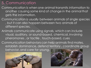 english presentation.pdf