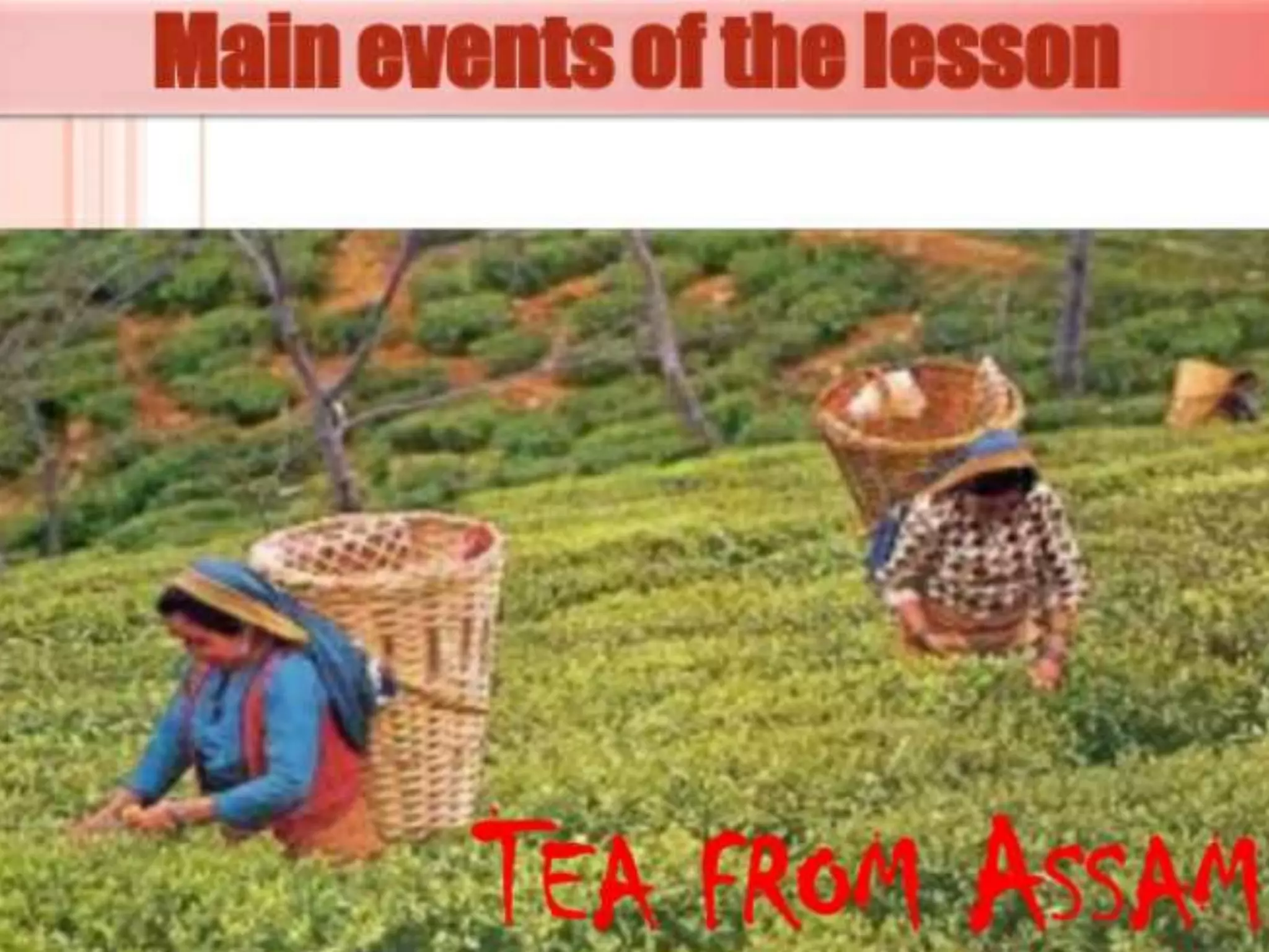 Glimpses of India- Tea from Assam (class-10th,English PPT) | PPTX