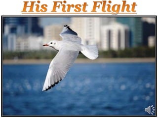 English presentation on 'His First Flight' | PPTX