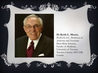 The Bond between Quran and Science | PPTX | Islam | Religion & Spirituality