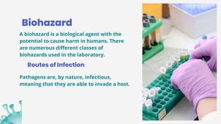 English Presentation oh students TALCS 450A.pptx