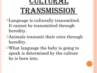 language | PPT