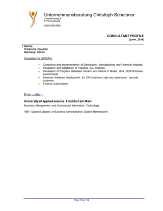 English profile christoph scheibner | DOCX | Logistics | Business