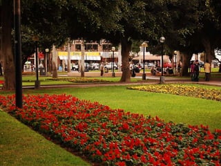 English project I09 | PPT