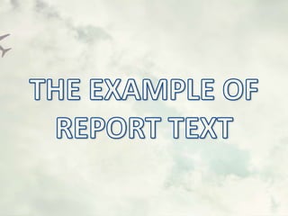REPORT TEXT | PPTX